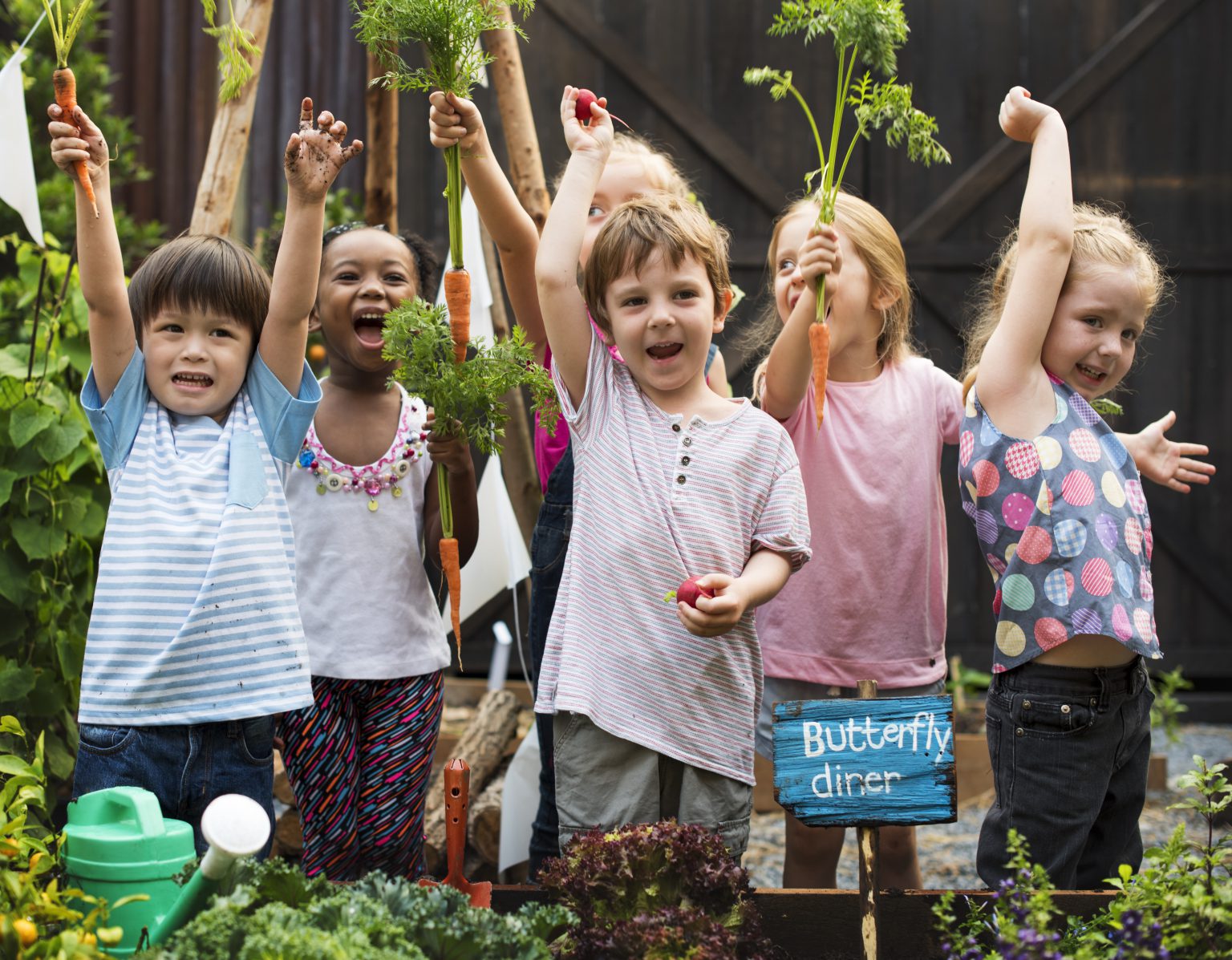 6 Easy Steps for Gardening in Early Childhood Education - Child Care Aware